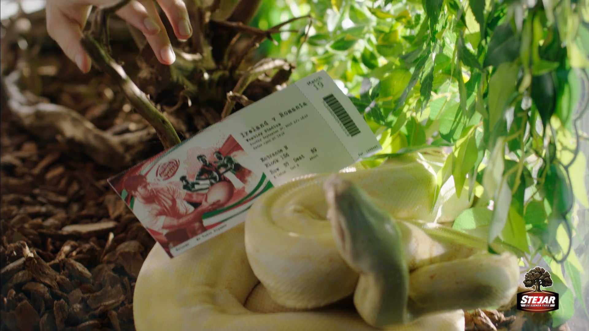 Stejar beer. Director: Amarfoaie. DoP: Max Lemnij on Vimeo