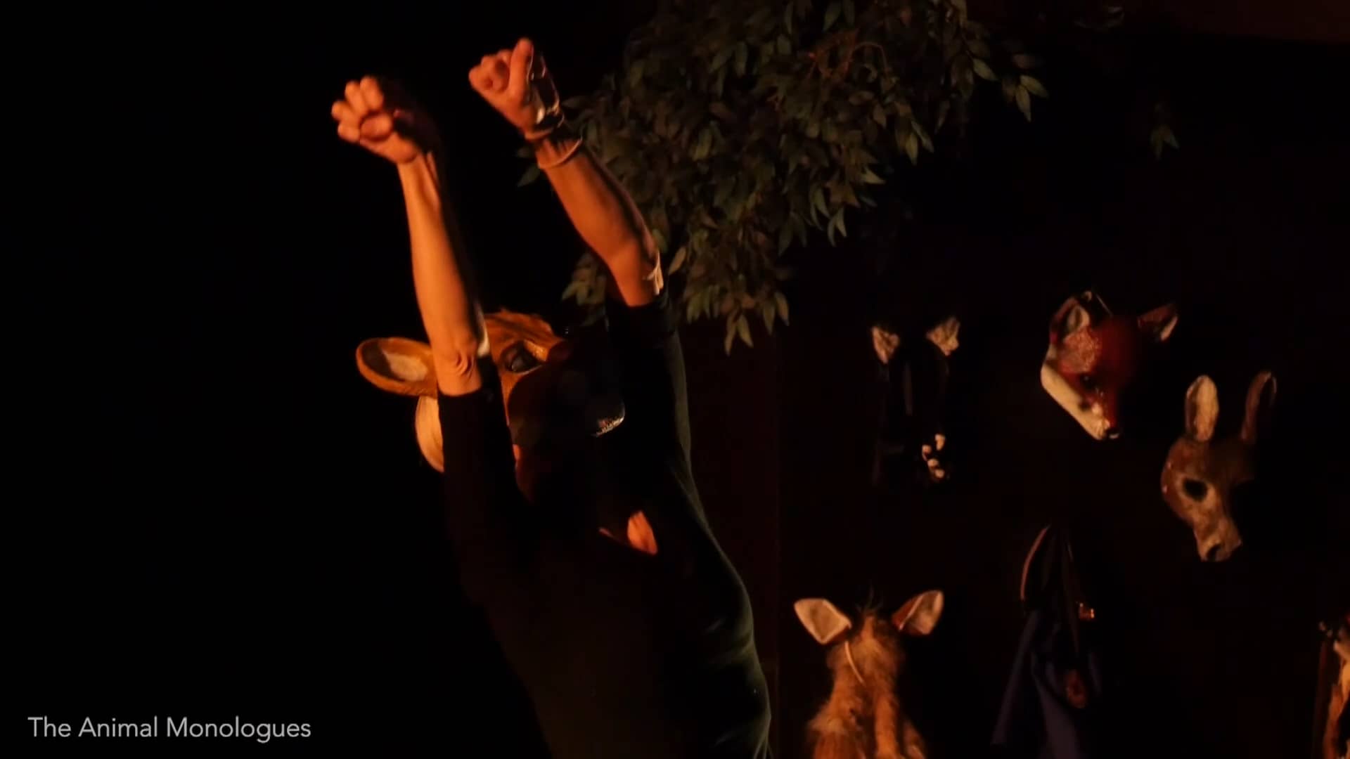 "The Animal Monologues" by Amy Raasch - Trailer on Vimeo