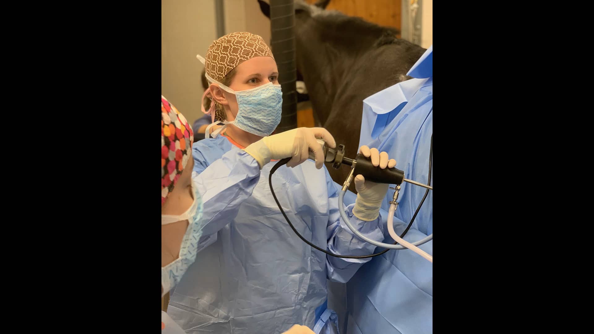 Laparoscopic Equine Ovariectomy by Wisconsin Equine Hospital on Vimeo