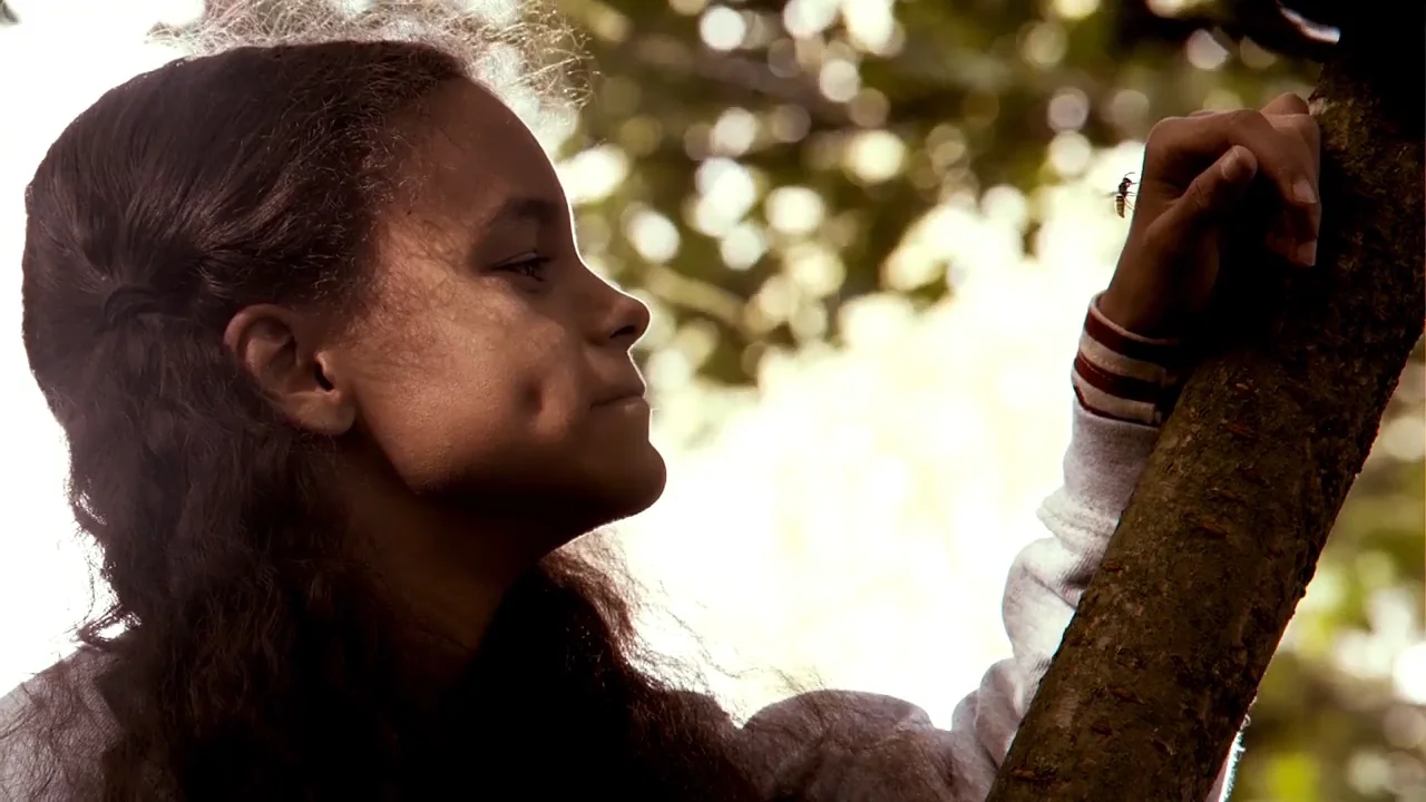 CBBC "Katy" VFX Montage on Vimeo