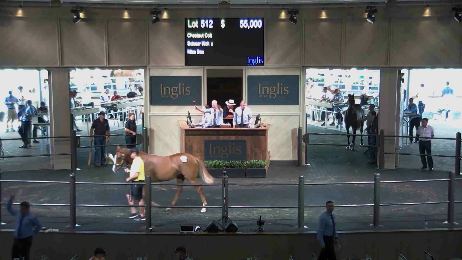 Lot 512 - Scissor Kick x Miss Bax on Vimeo