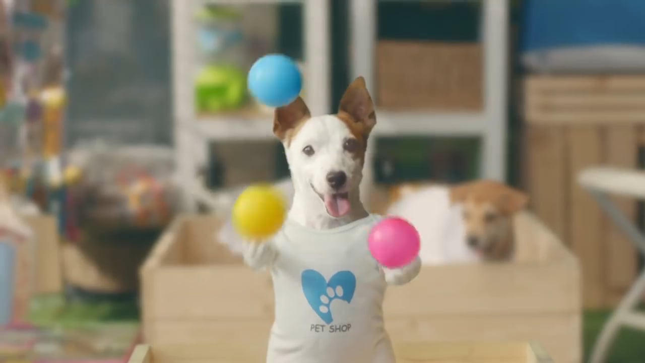 The Juggling Dog on Vimeo