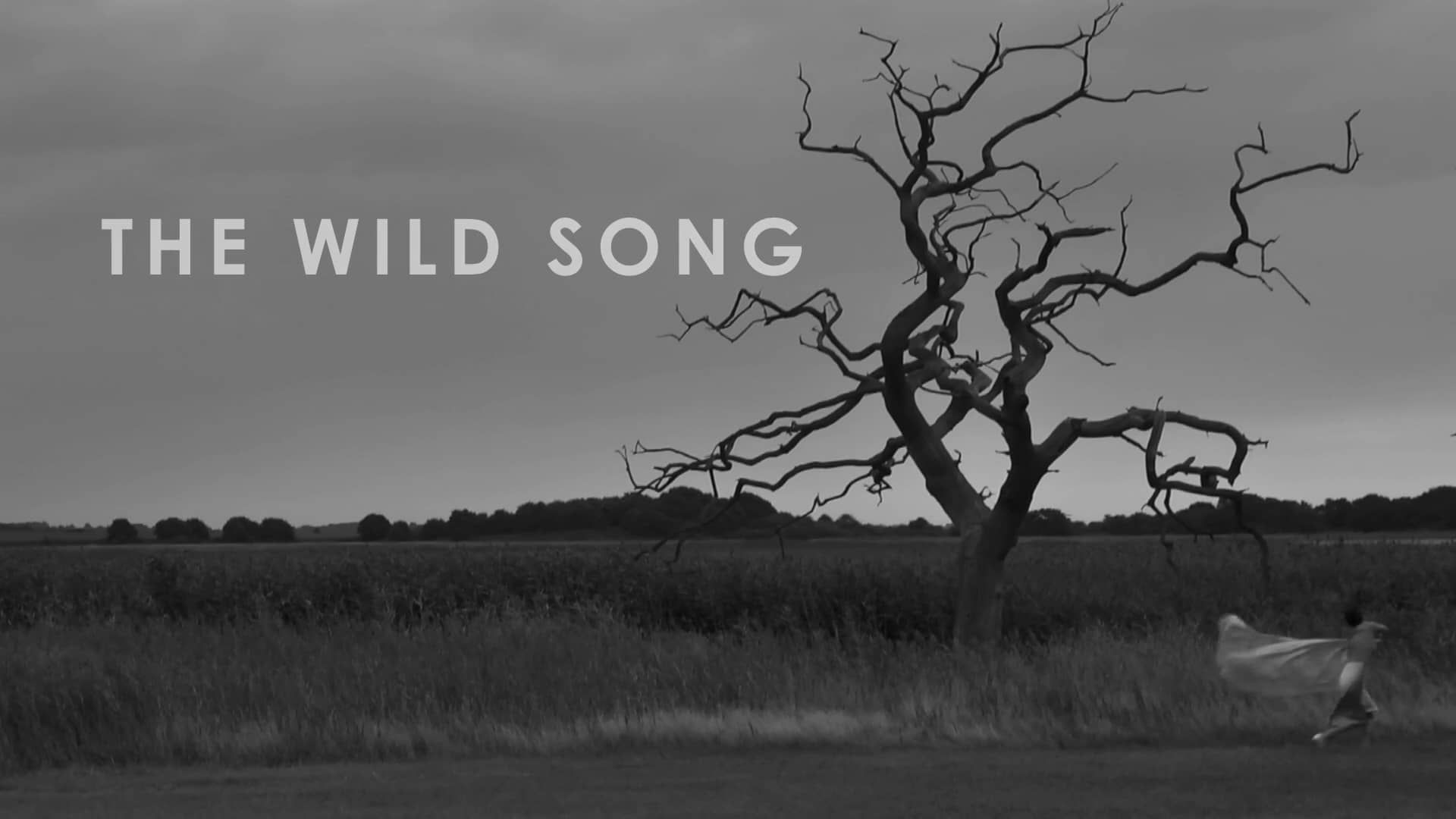 THE WILD SONG: music by Benjamin Britten and Mychael Danna. on Vimeo