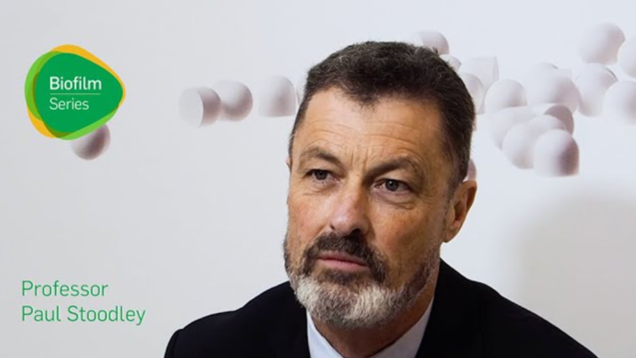 Who is Paul Stoodley? on Vimeo