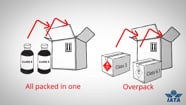 5 Dangerous Goods Regulations Packing On Vimeo