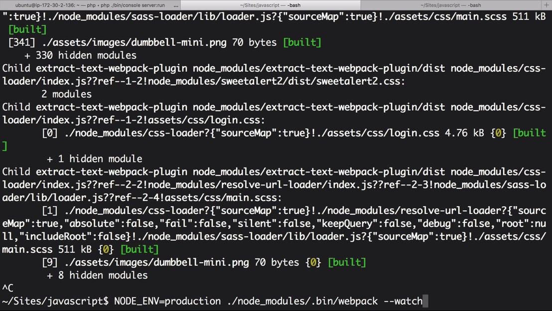 Production Build Javascript For Php Geeks Webpack For Module Loading Awesomeness Symfonycasts 4110