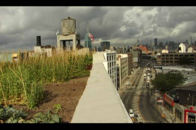 The Brooklyn Grange: NYC's Biggest Rooftop Farm on Vimeo