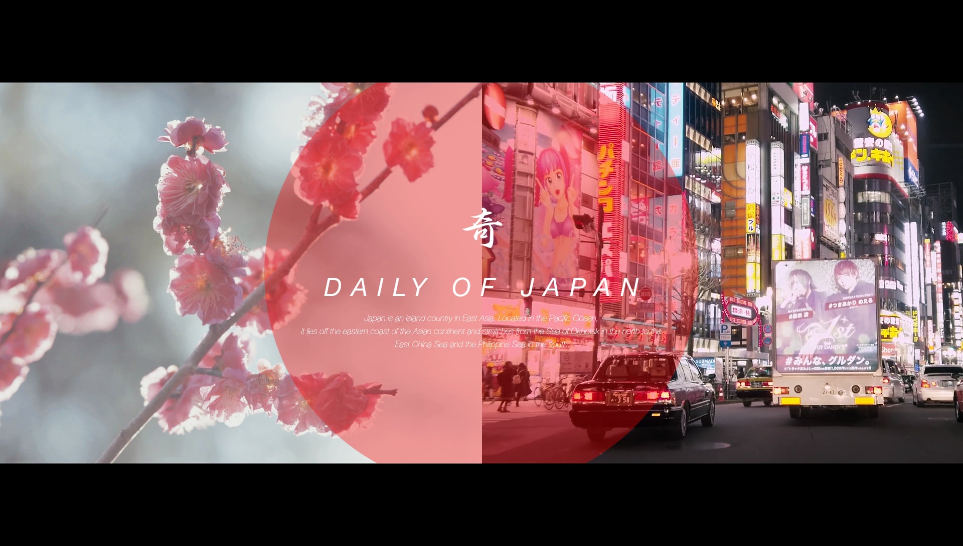 Daily of Japan 日本の日常 (Shot on the A7iii & Osmo Pocket) on Vimeo