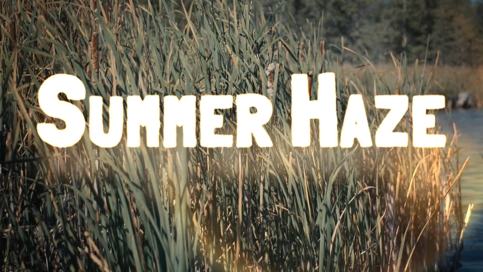 Watch Summer Haze (DVD Version) Online | Vimeo On Demand on Vimeo