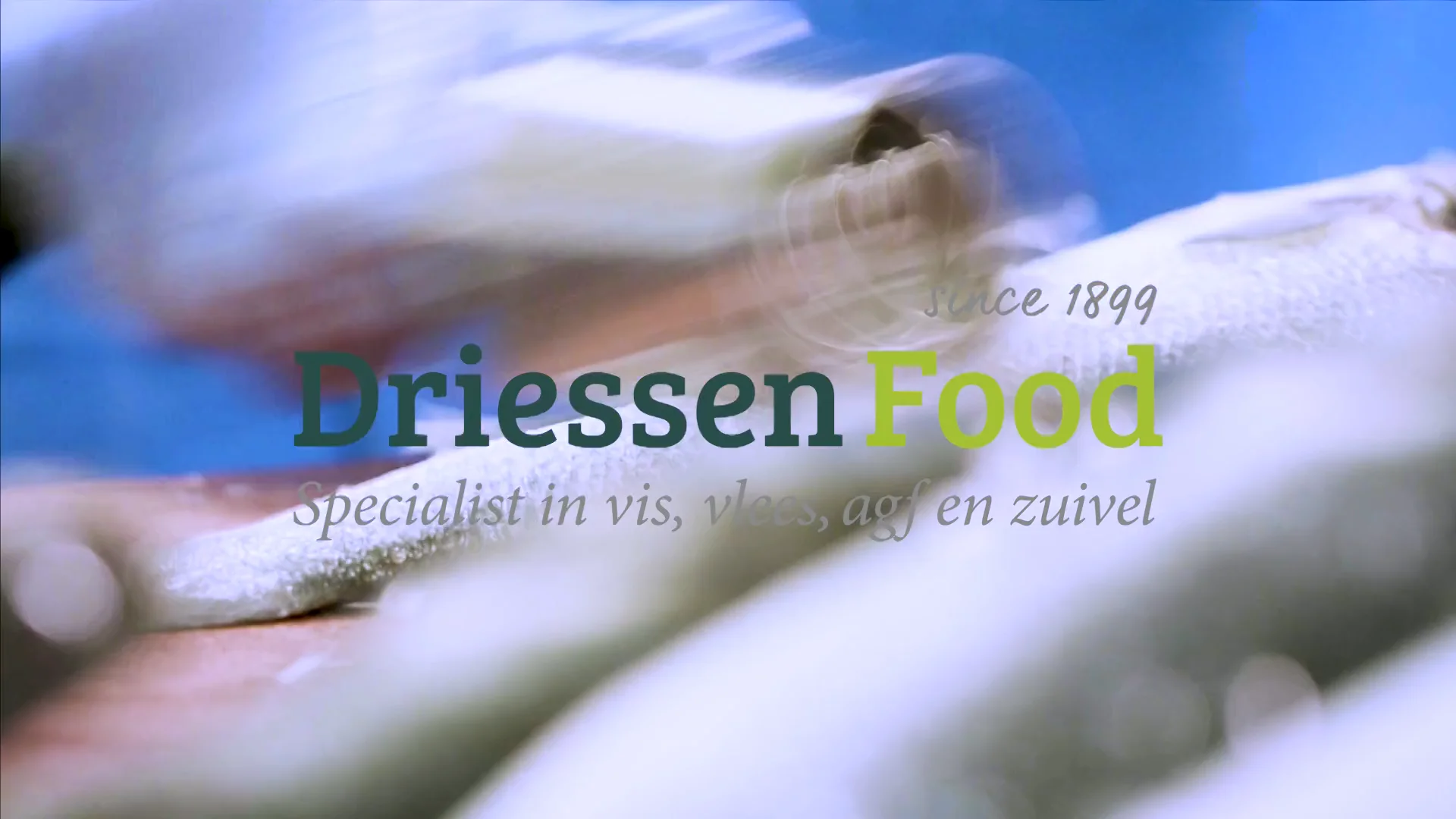 Walt Wonder Schmidt | Portfolio - Driessen Food | Vis | Final on Vimeo
