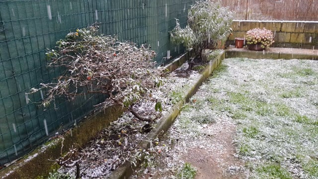 Mais de 10 vídeos grátis em HD e 4K de Neve Caindo e Neve - Pixabay