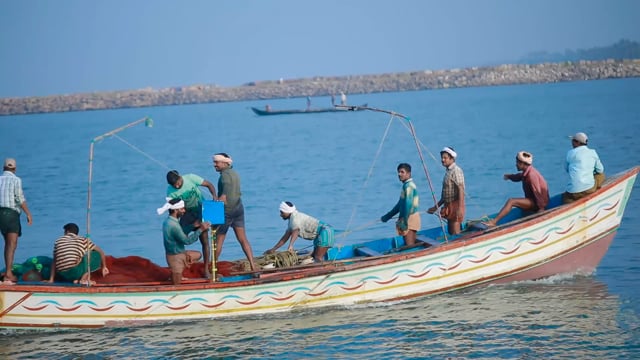 Pesca Pescador Bote - Free video on Pixabay - Pixabay
