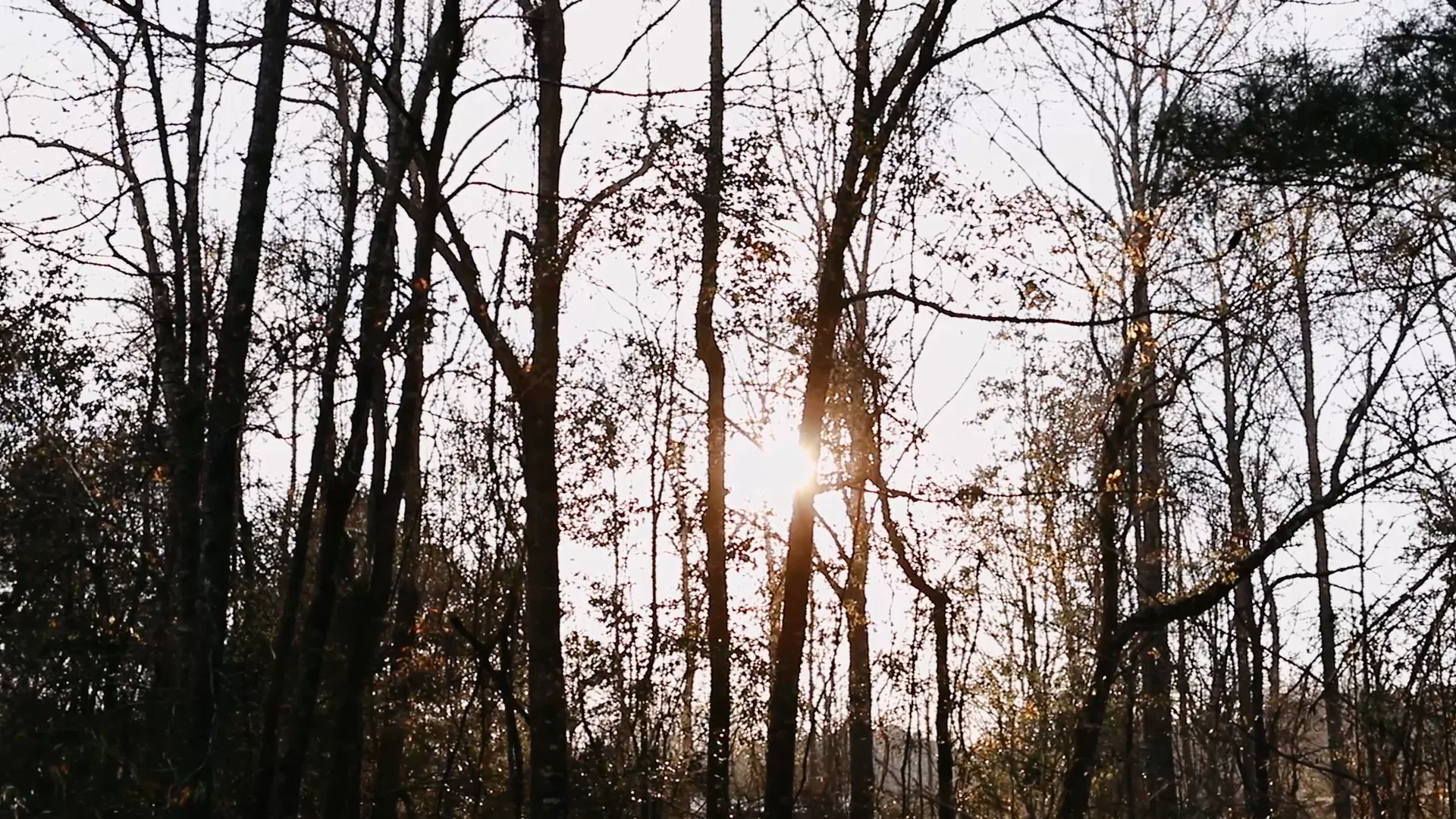 Kelly Castleberry Sr. 2019 on Vimeo