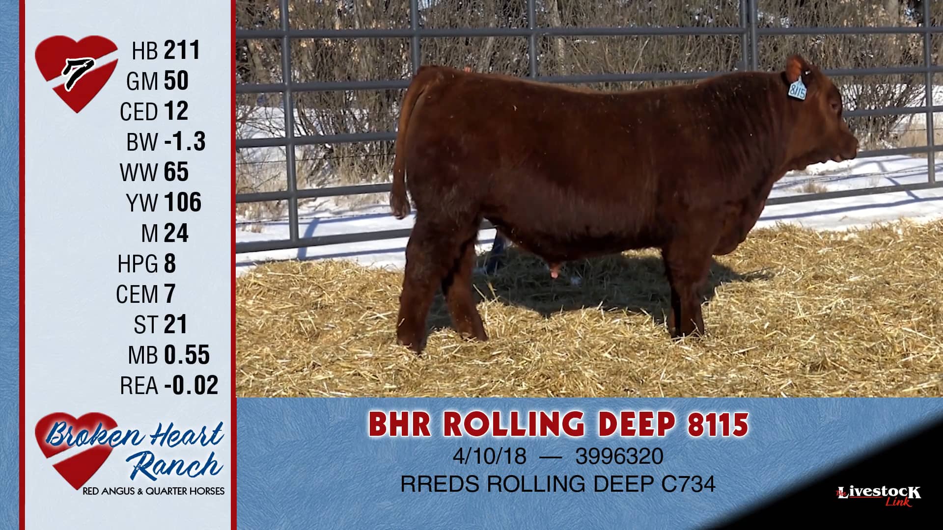 Broken Heart Ranch - Lot 7 on Vimeo