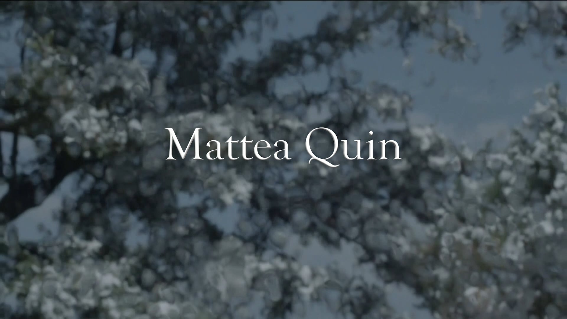 Mattea - Demo Reel-HD 1080p on Vimeo