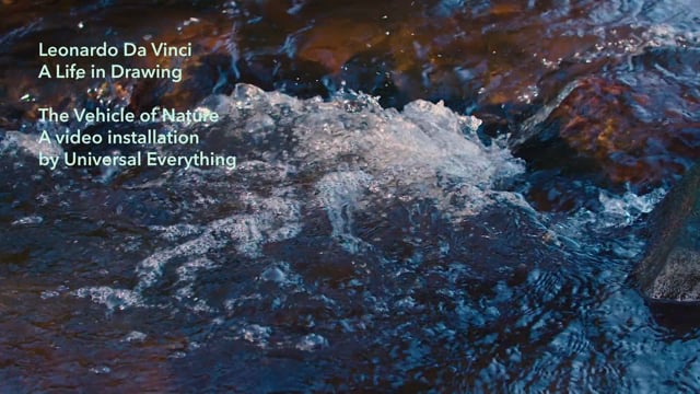 The Vehicle of Nature - The FWA