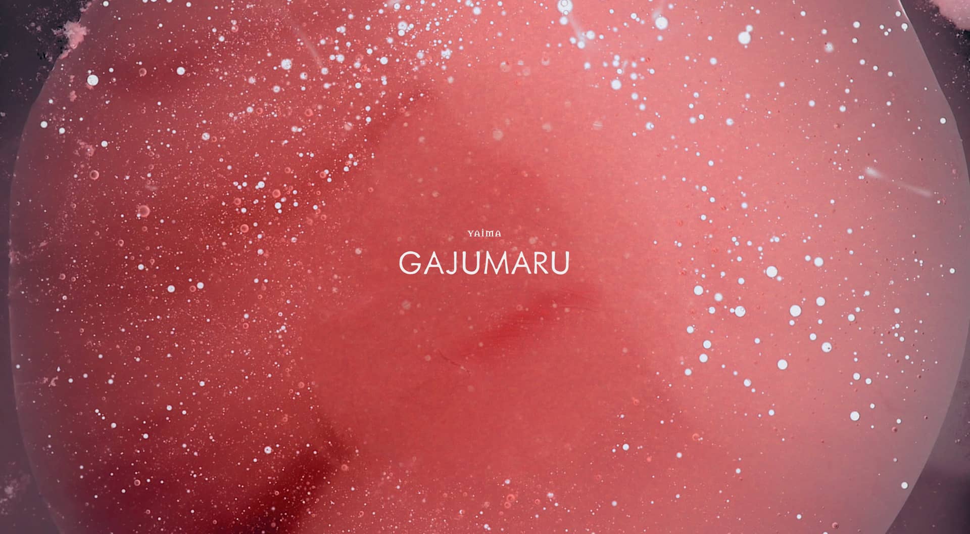 GAJUMARU - Yaima ≜ KLASYK FILMS on Vimeo