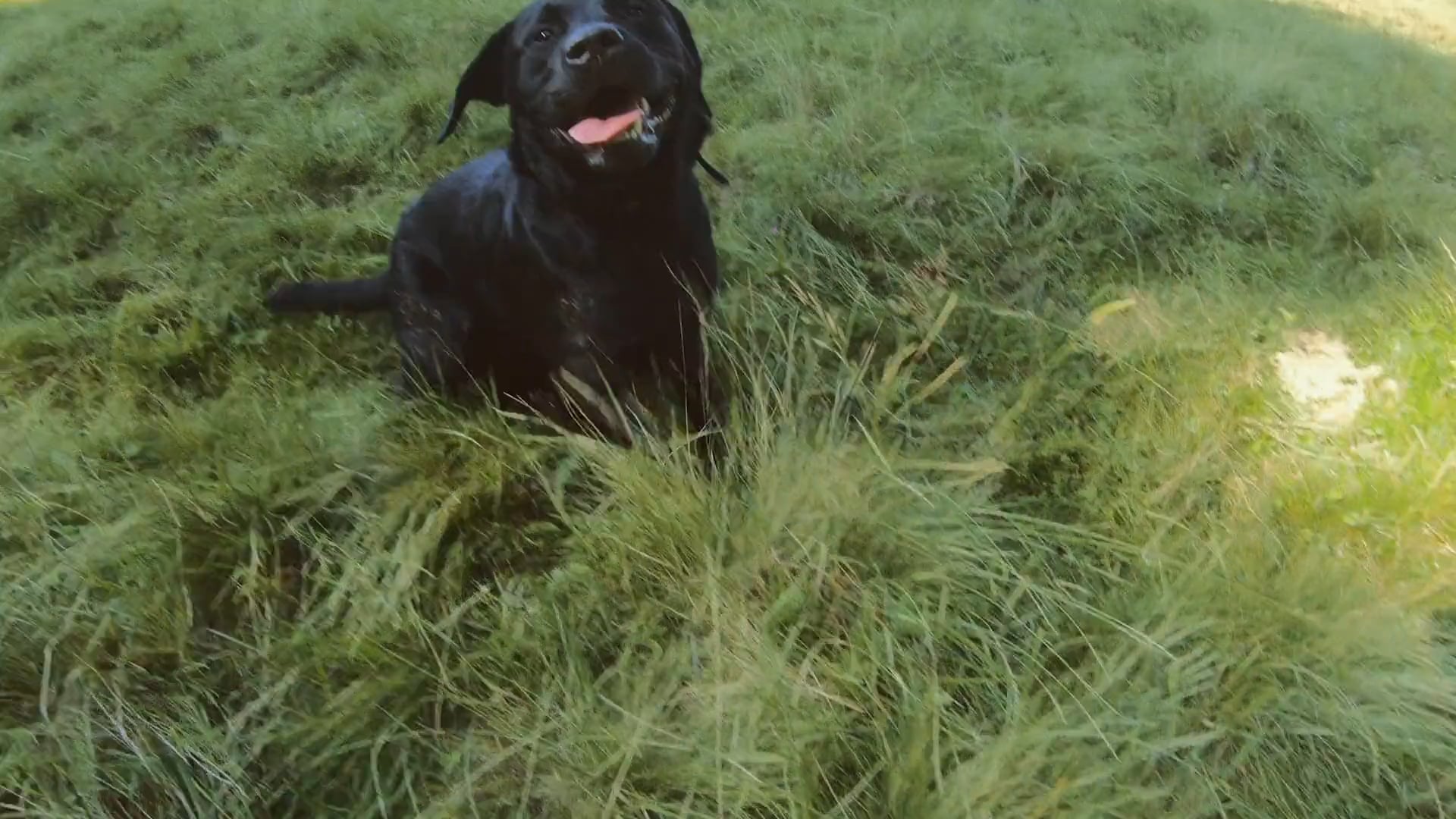 THE UNIVERSAL CHRIST by Richard Rohr - Official Book Trailer on Vimeo