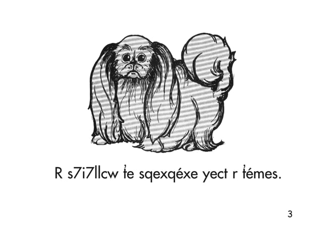 Secwepemc Language - Chief Atahm School on Vimeo