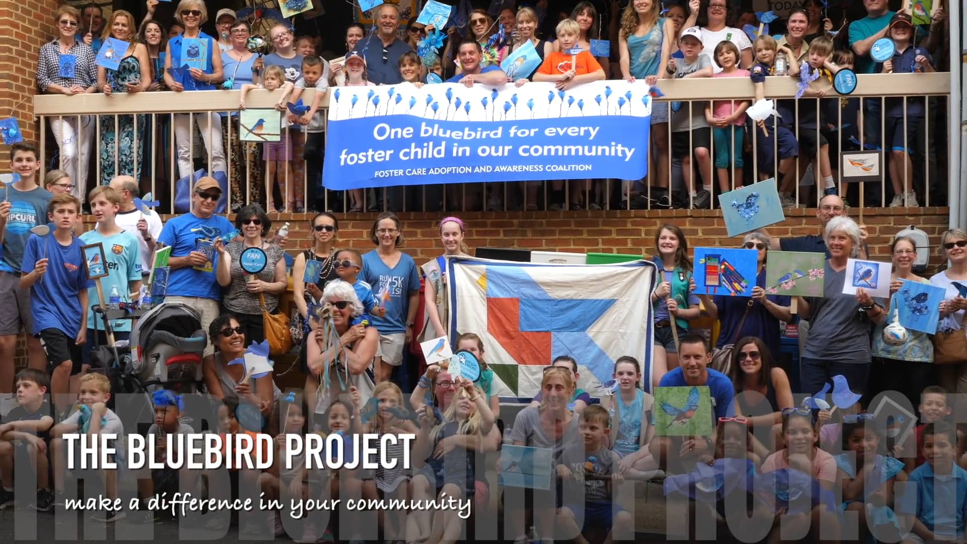 The Bluebird Project on Vimeo