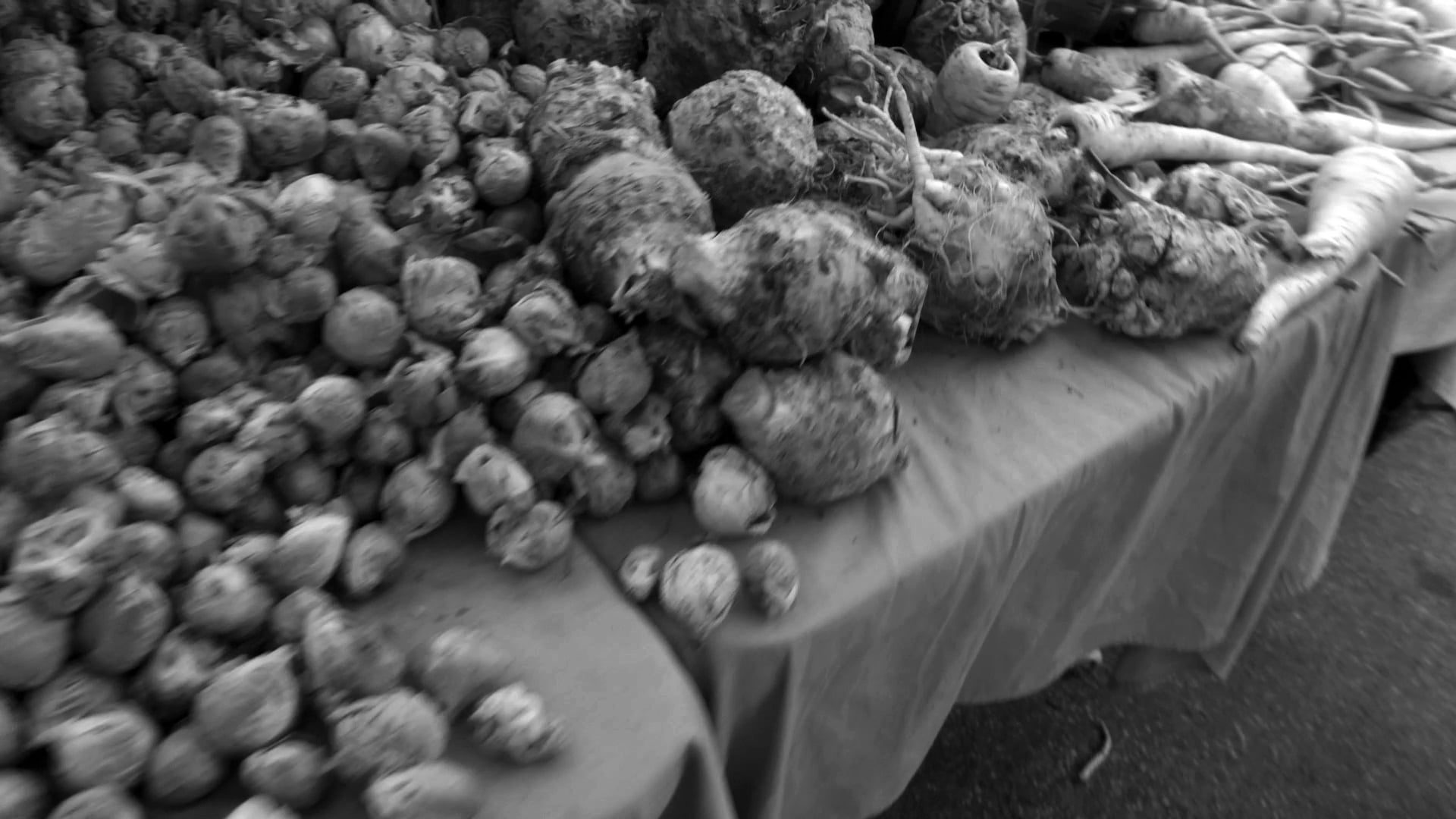 2160_film_196a_dimov_nesho on Vimeo