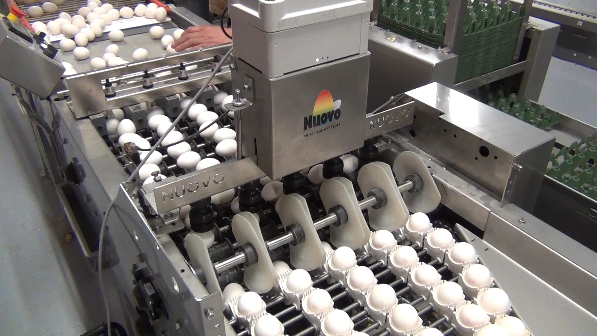 Nuovo Egg Stamper - Easy Stamp SOR5 on Prinzen PSPC30 on Vimeo