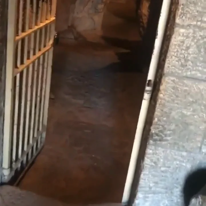 The Public Door to the Great Pyramid, Al Mamoun's Forced Passage ...