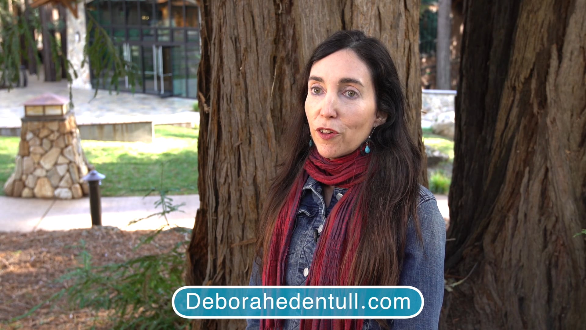 Deborah Eden Tull Book (Short Final) on Vimeo