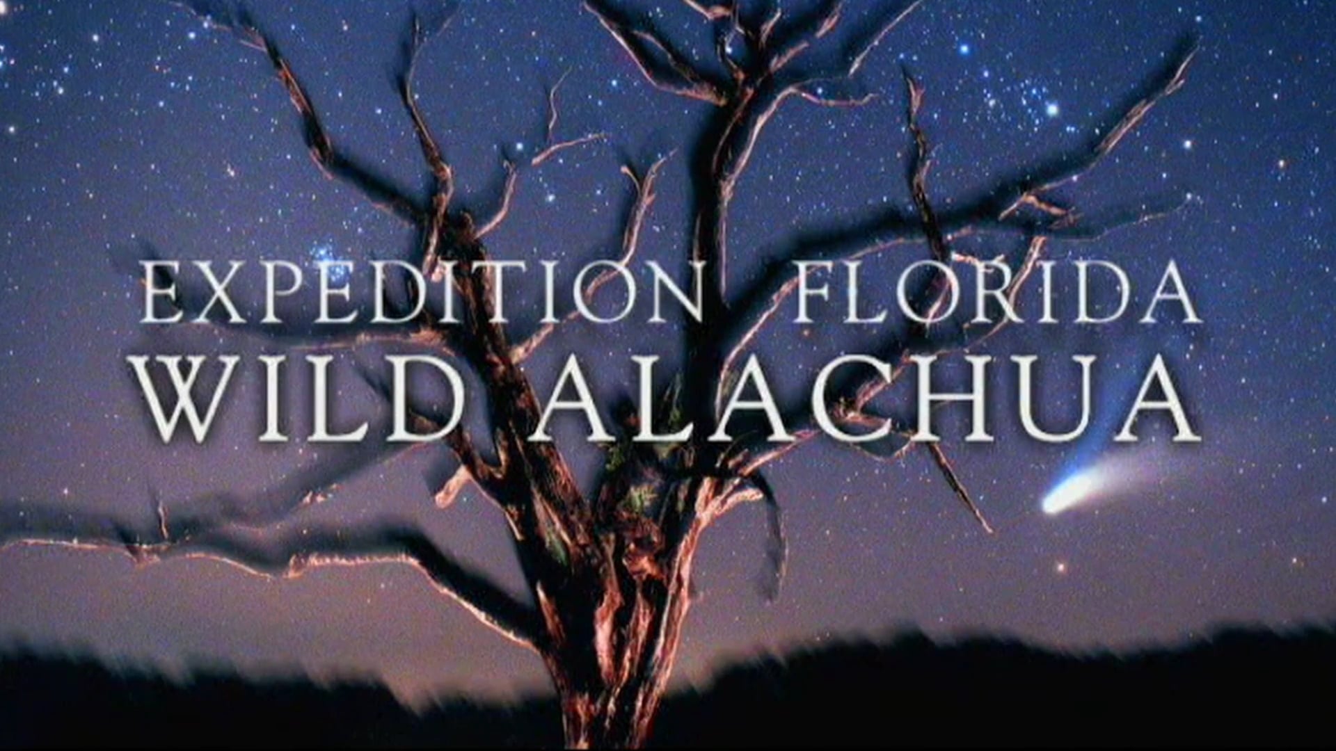 Canted Frame Video and Film Editing and Post Production Parrish, FL