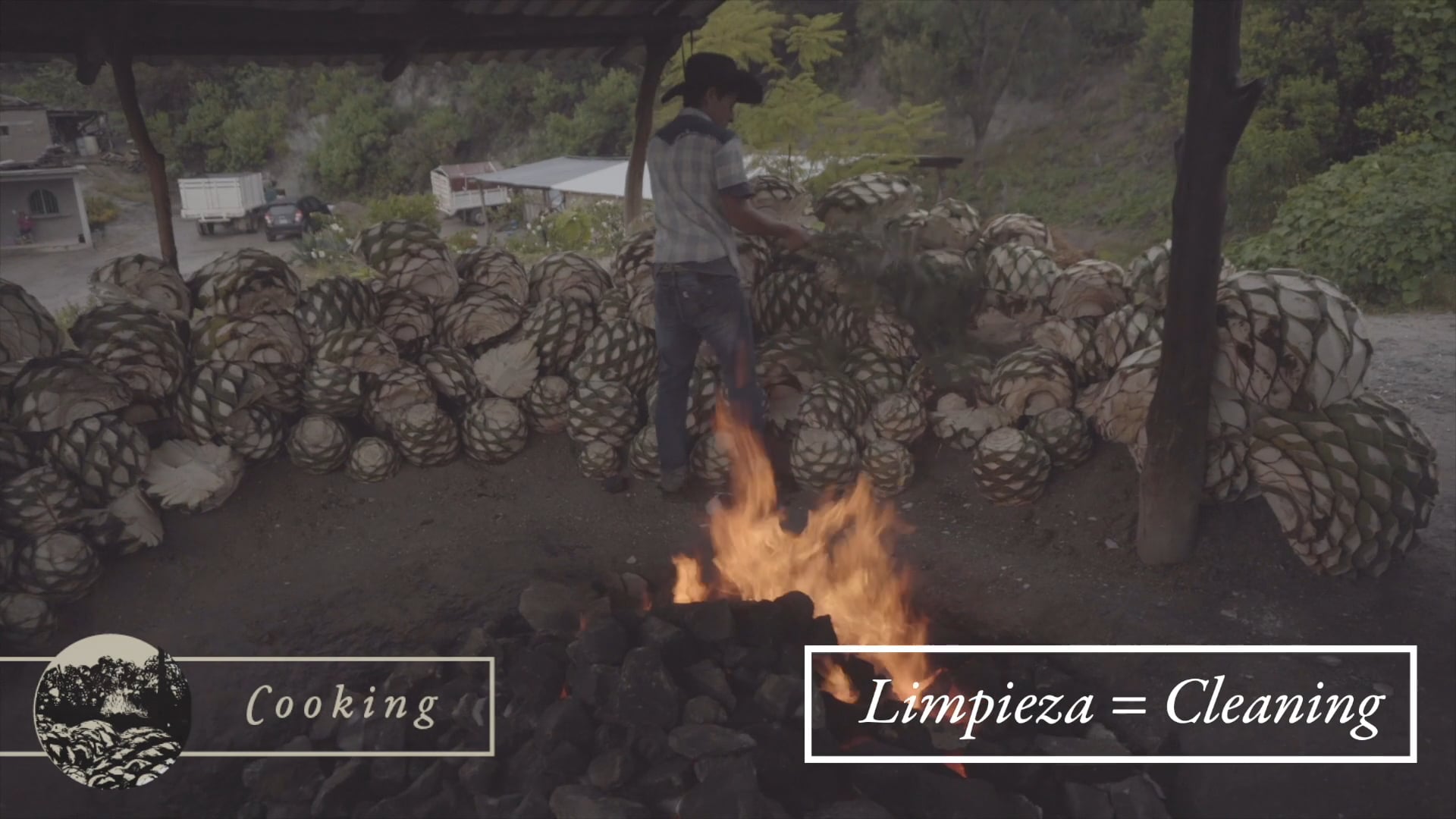 Artisanal Mezcal Process Part II - Cooking in the Earth Oven Horno on Vimeo
