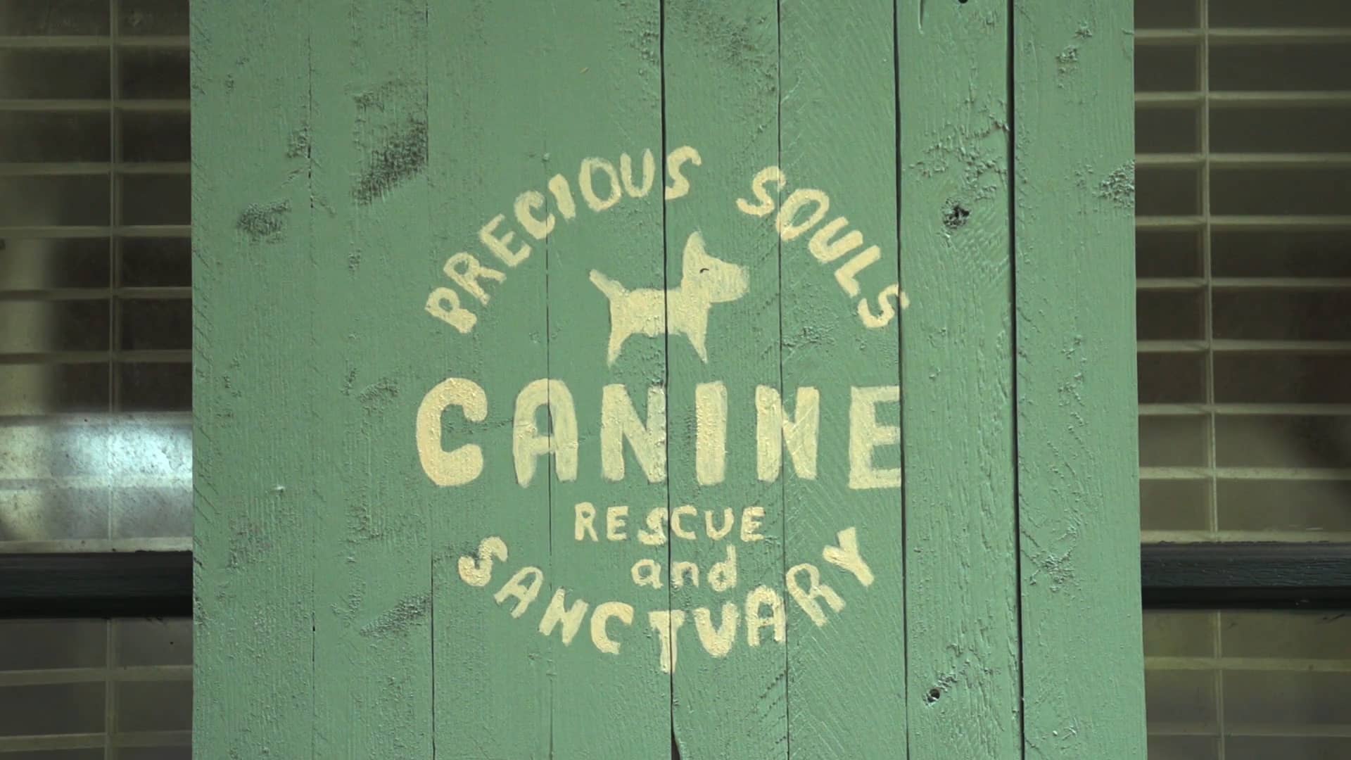 Precious Souls on Vimeo