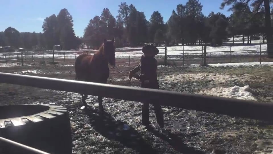 Shelby Rugg & Jenny on Vimeo