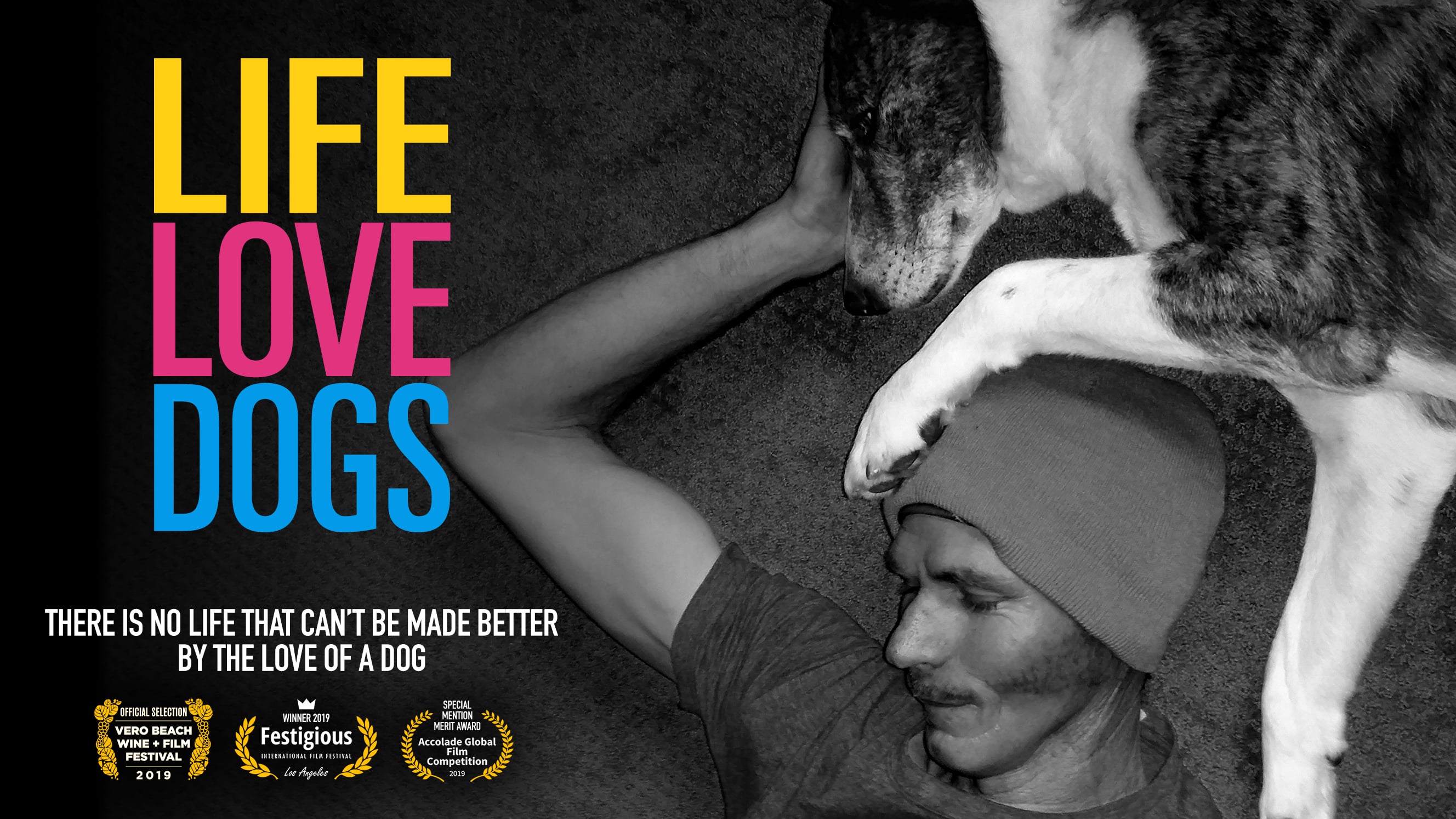 Watch LIFE·LOVE·DOGS Online | Vimeo On Demand on Vimeo
