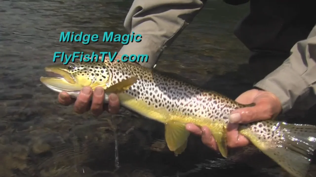 Watch Midge Magic Fishing with Davy Wotton Online | Vimeo On Demand on ...
