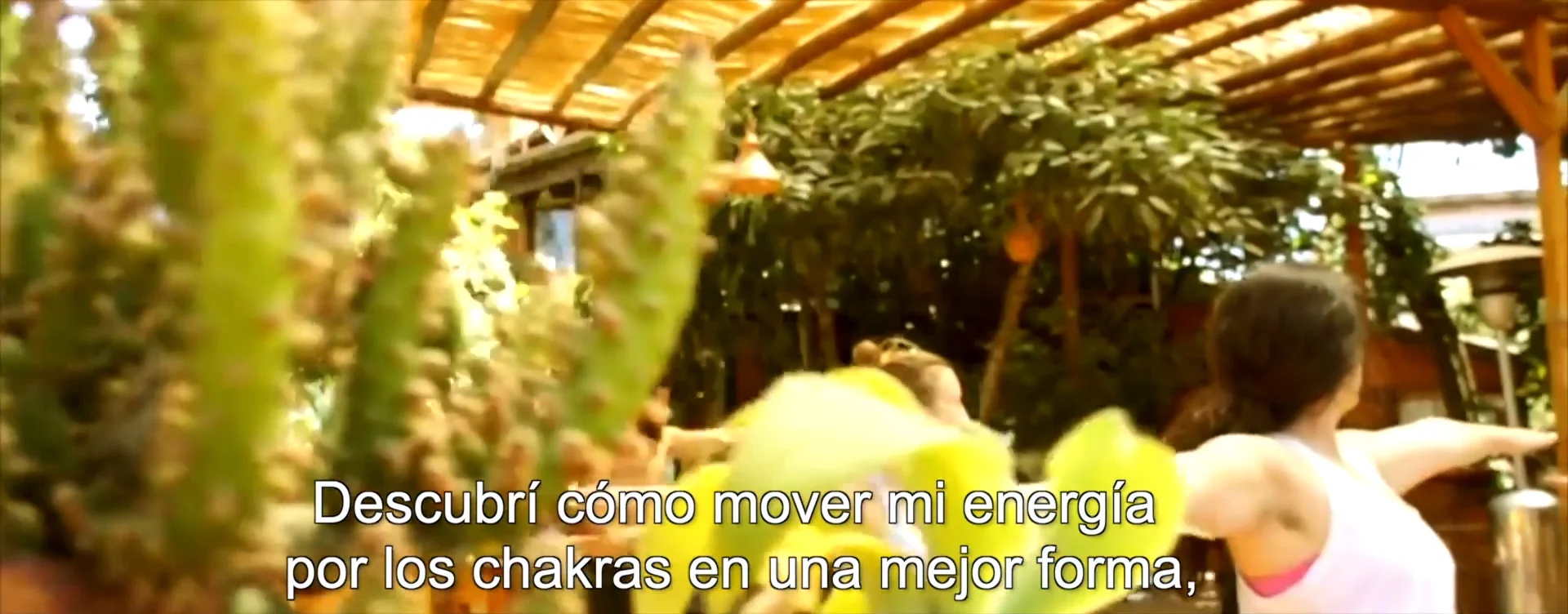 Testimonios de los estudiantes de Durga's Tiger School on Vimeo