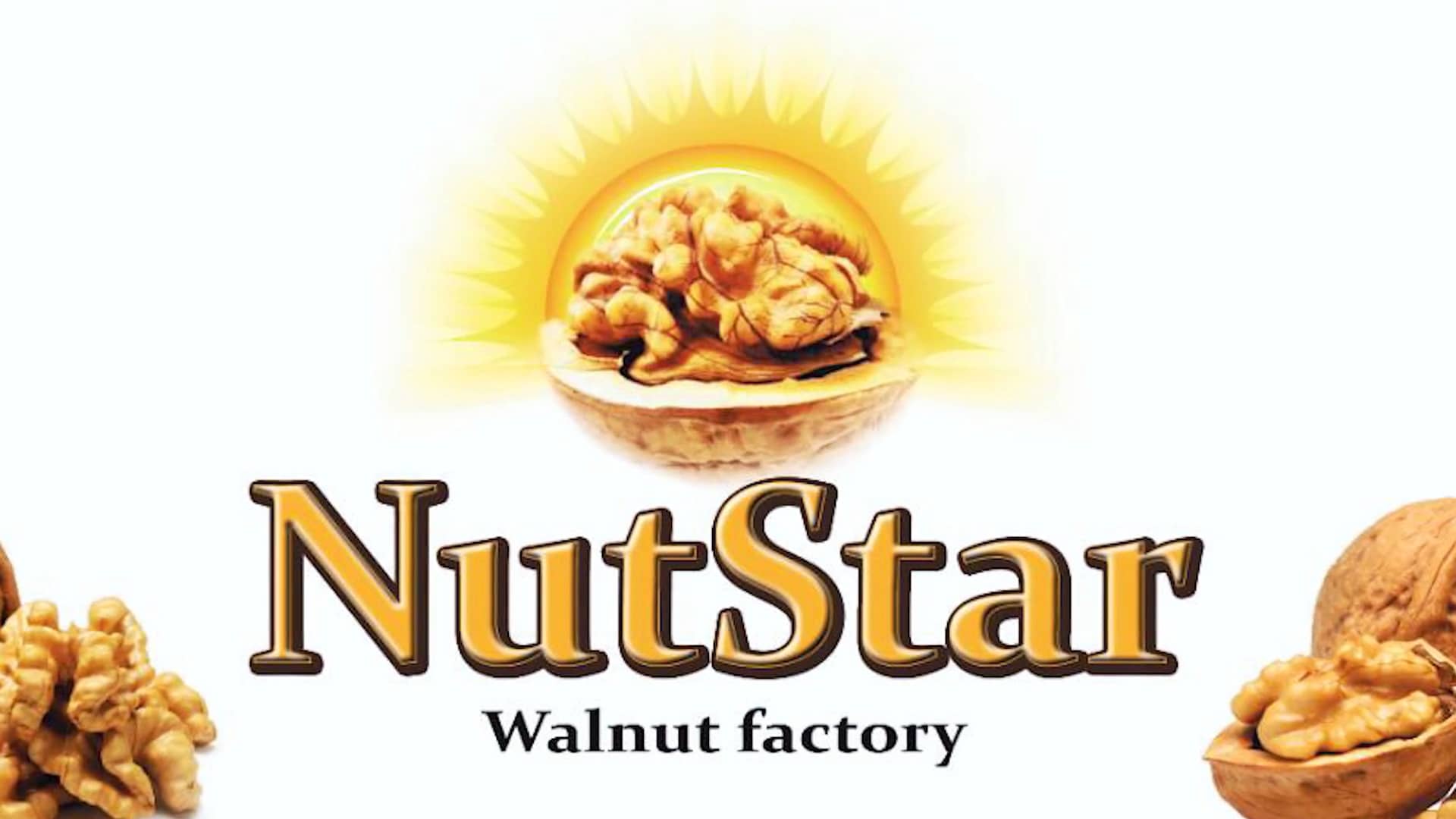 NutStar on Vimeo