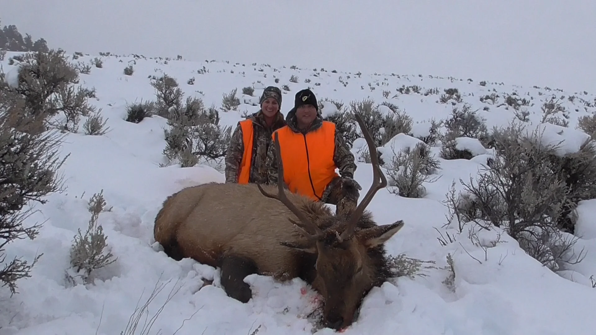 Joseph Guercio (FL) - Stockton Outfitters - Elk & Mule Deer Hunting on ...