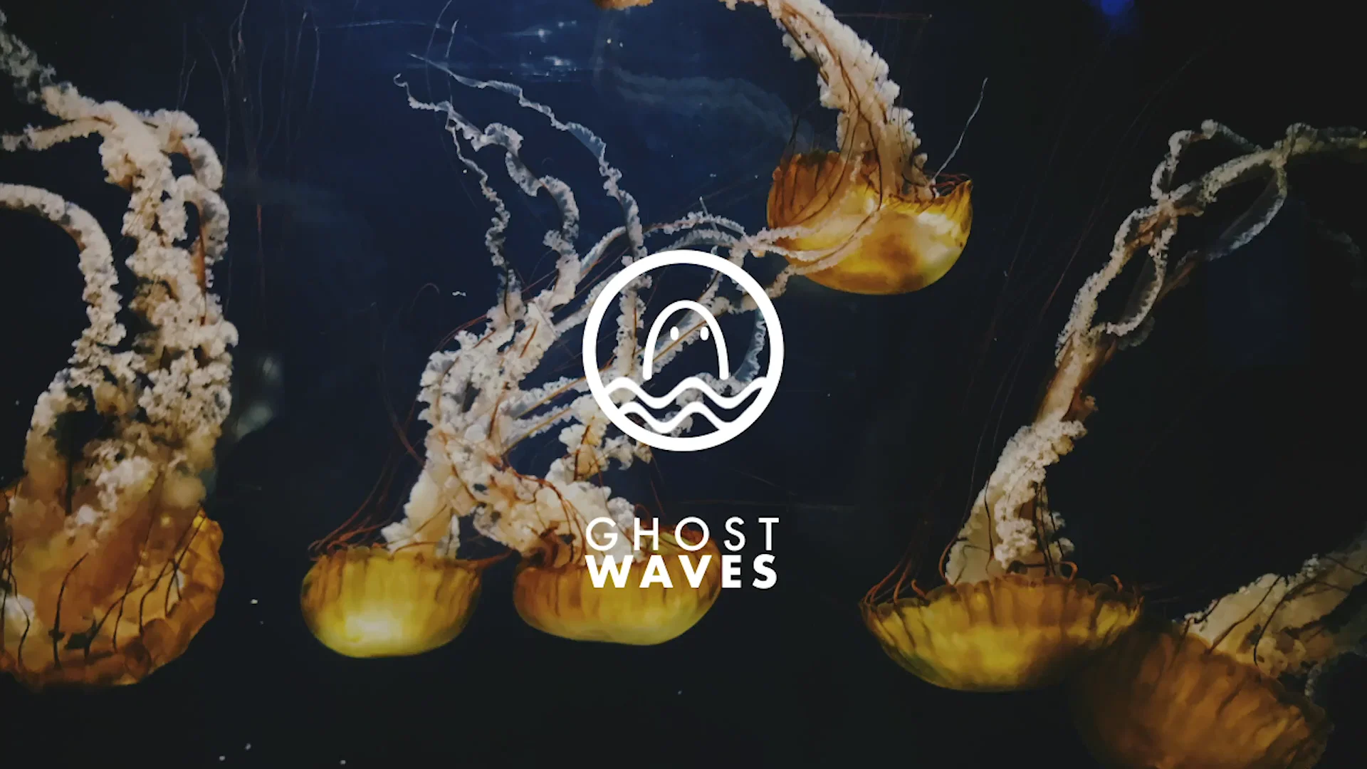 GHOST WAVES - FLOW