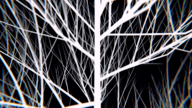 Tree, Form, Black And White. Free Stock Video - Pixabay