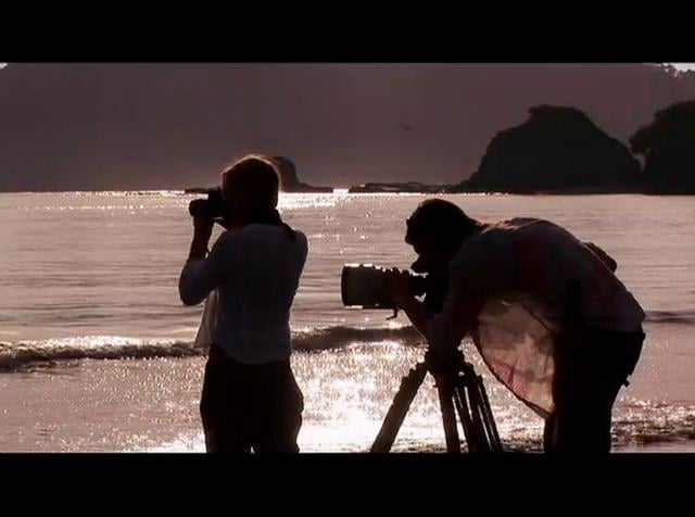 Wild on Vimeo