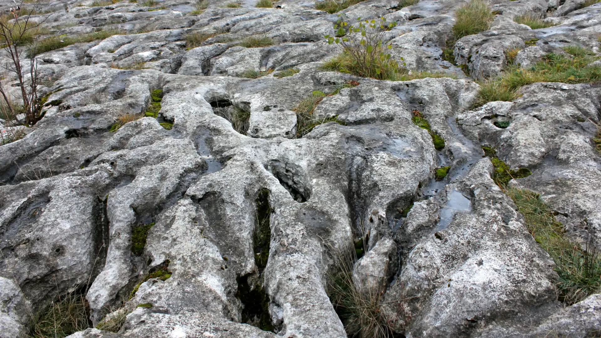 Le lapiaz de Loulle dans le Jura on Vimeo