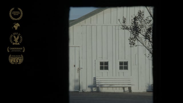 something amazing i guess on Vimeo