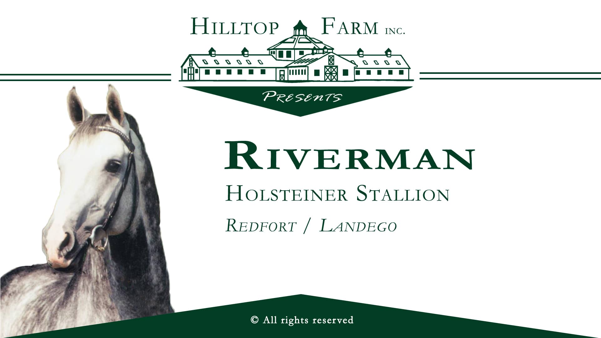 Riverman - Holsteiner Stallion, USEF Sire of the Year on Vimeo