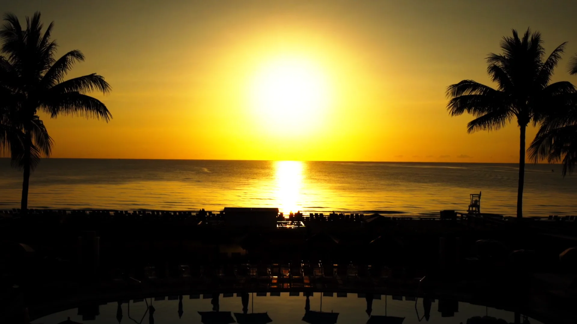 Selected Work - FIA Boca 2019 Promo Spot on Vimeo