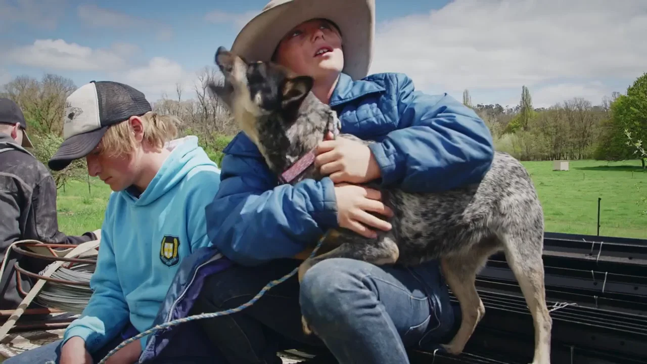 Watch BACKTRACK BOYS Online | Vimeo On Demand on Vimeo