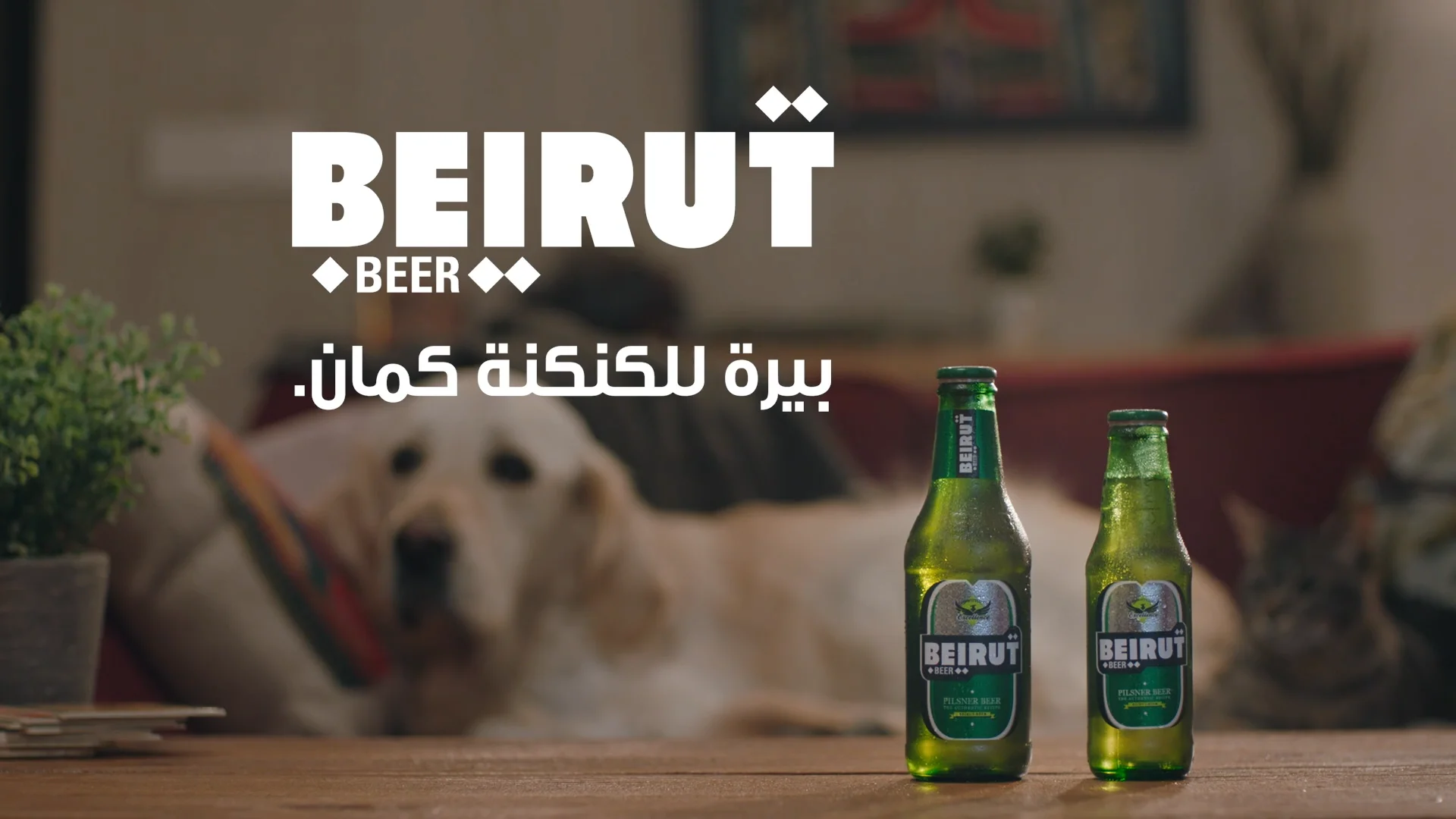 Beirut Beer TVC - Cat & Dog