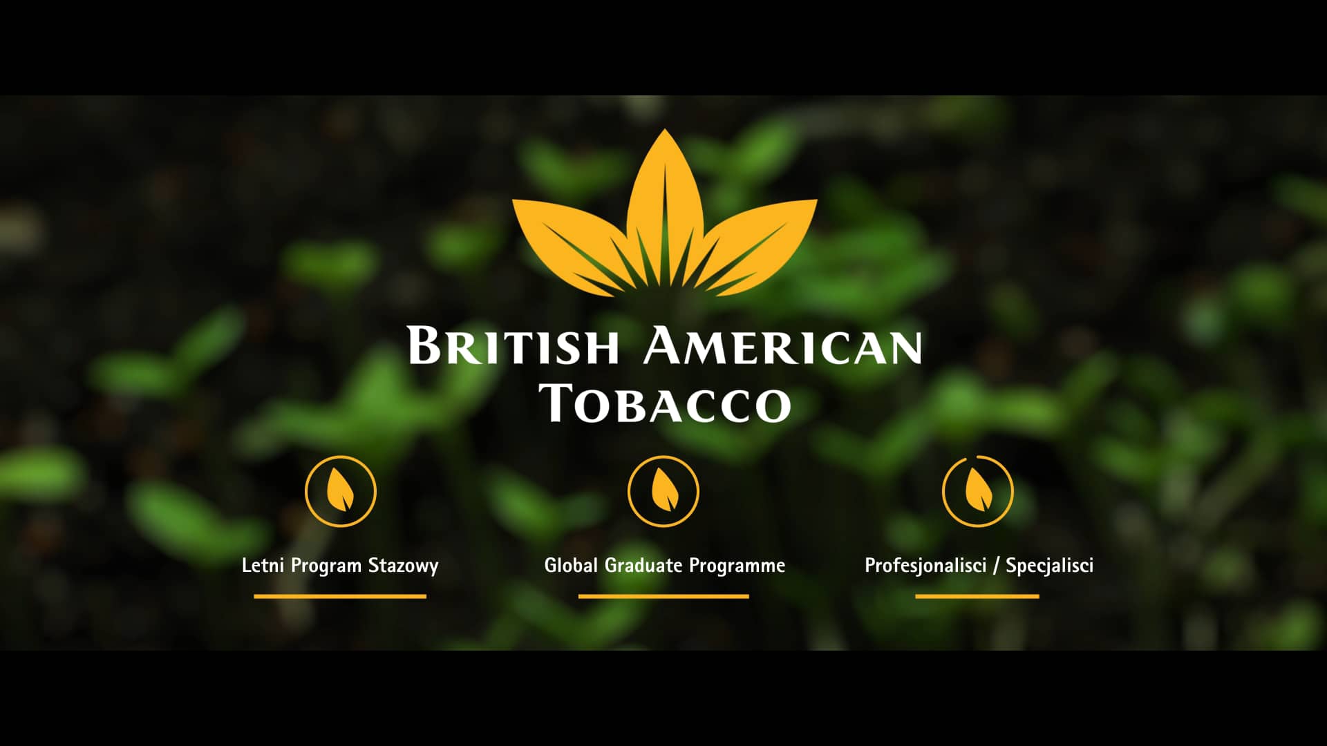 BAT - AUGUSTÓW IS THE FUTURE on Vimeo