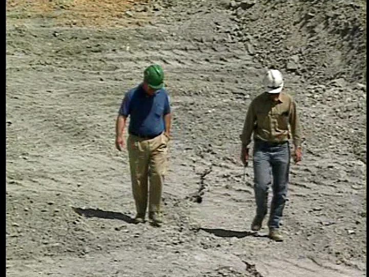 3. Berms