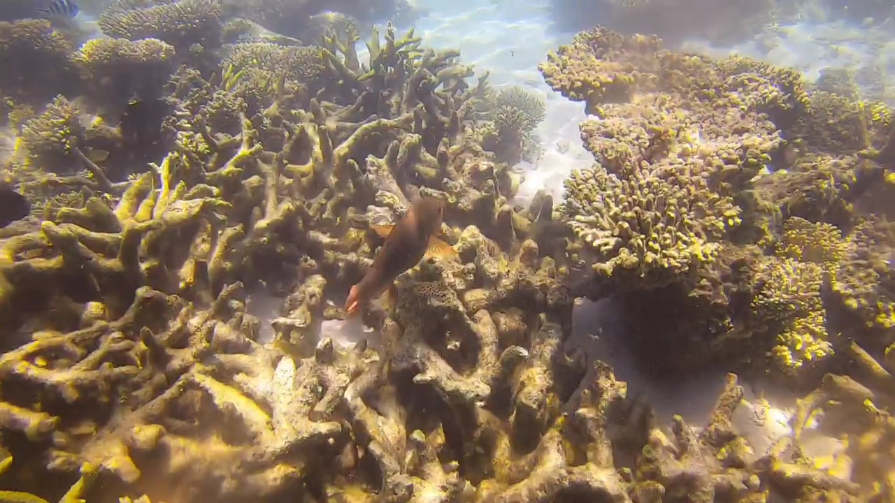 Exmouth and the Oyster Stacks on Vimeo