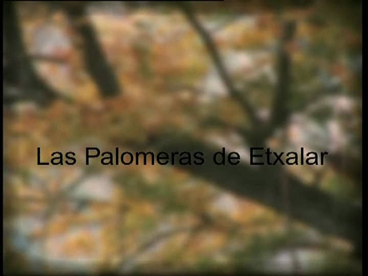 PALOMERAS on Vimeo
